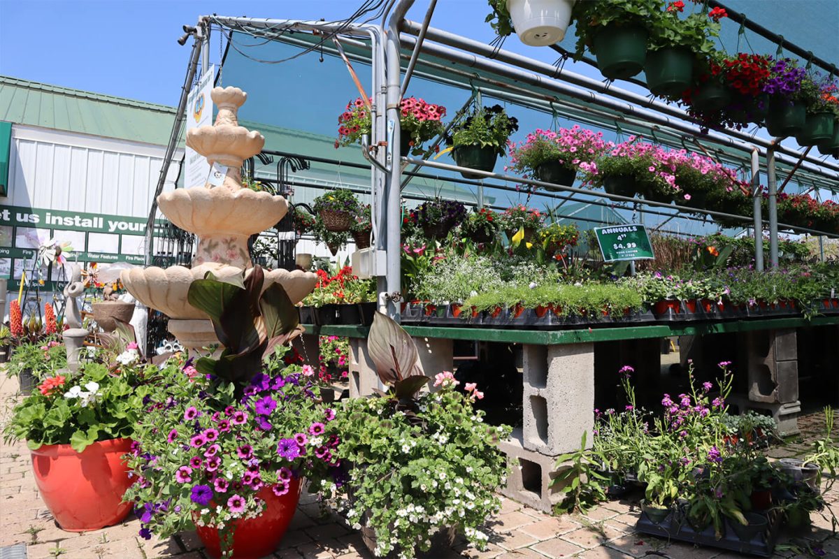 Garden Center - A Touch of Green