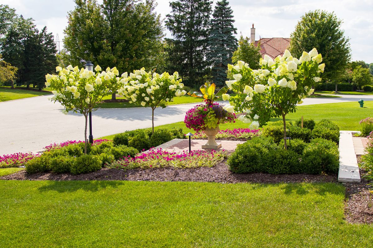 Landscape Design | A Touch of Green